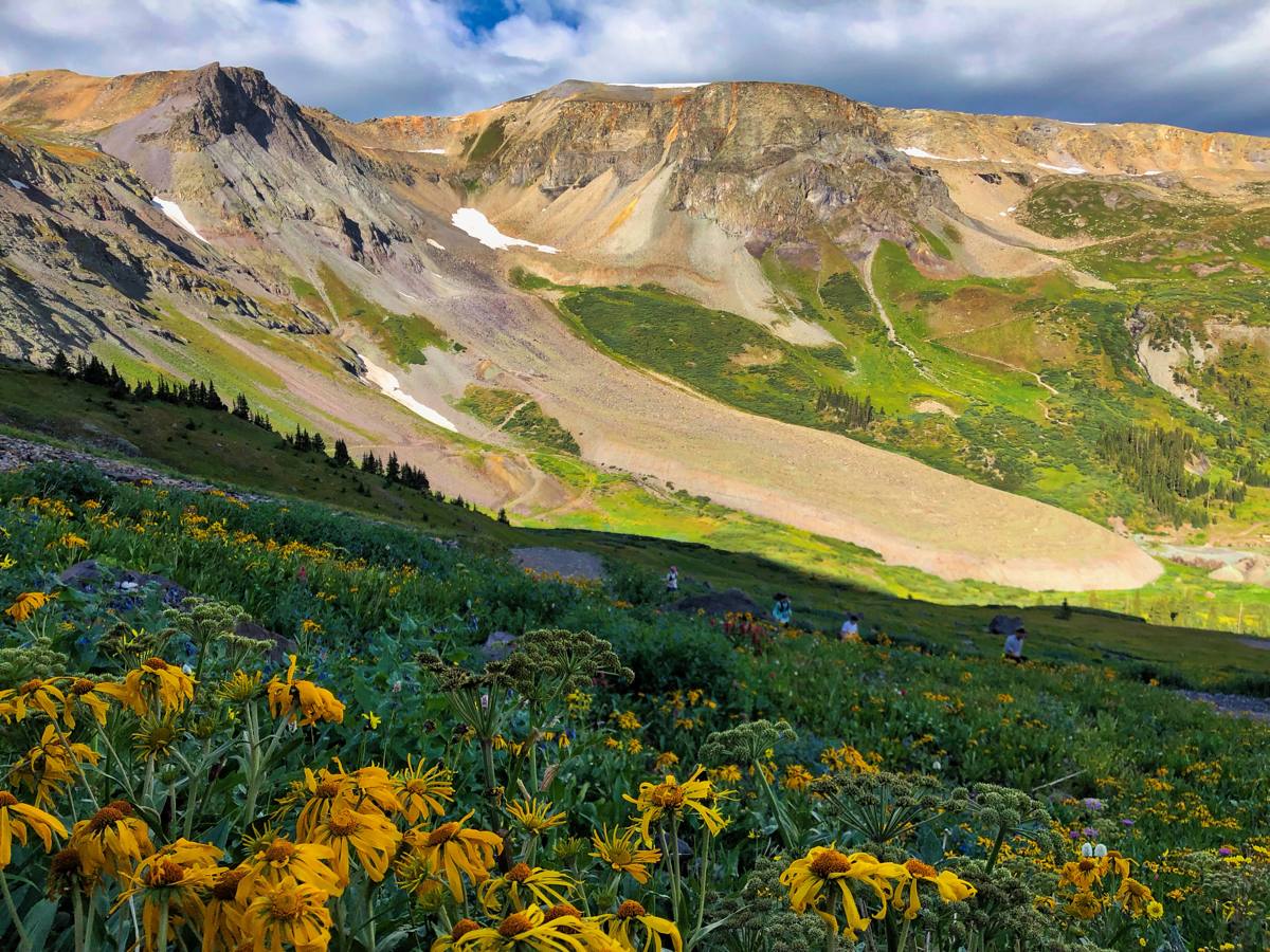 Imogene Pass Run