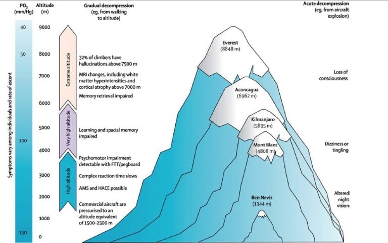 Into Thin Air: The Science of Altitude Acclimation – iRunFar